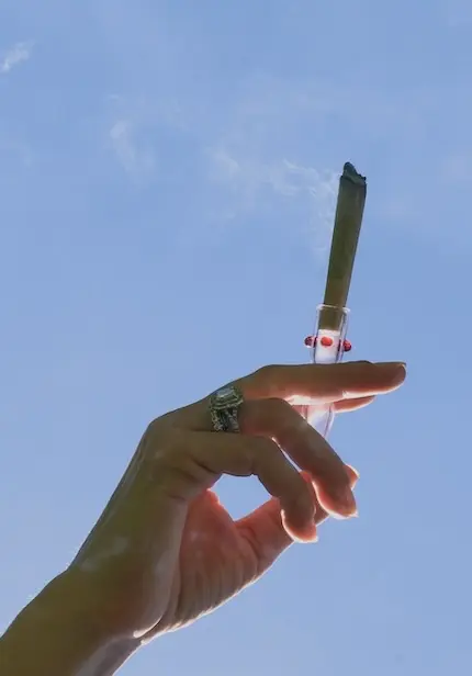Why A Luxury Joint Holder is Your Next Must-Have Accessory